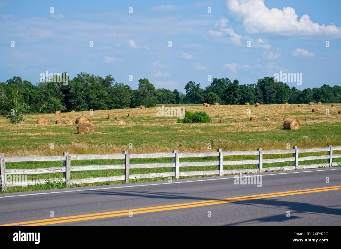 Field of rolled hay with worn wood fence along a rural highway Stock ...