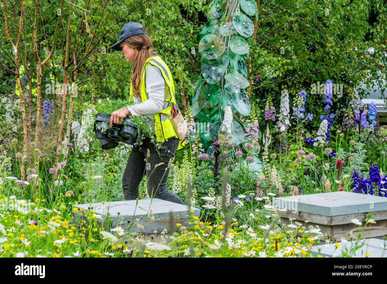 London, UK. 30th June, 2024. Final work on the RHS Britain in Bloom ...