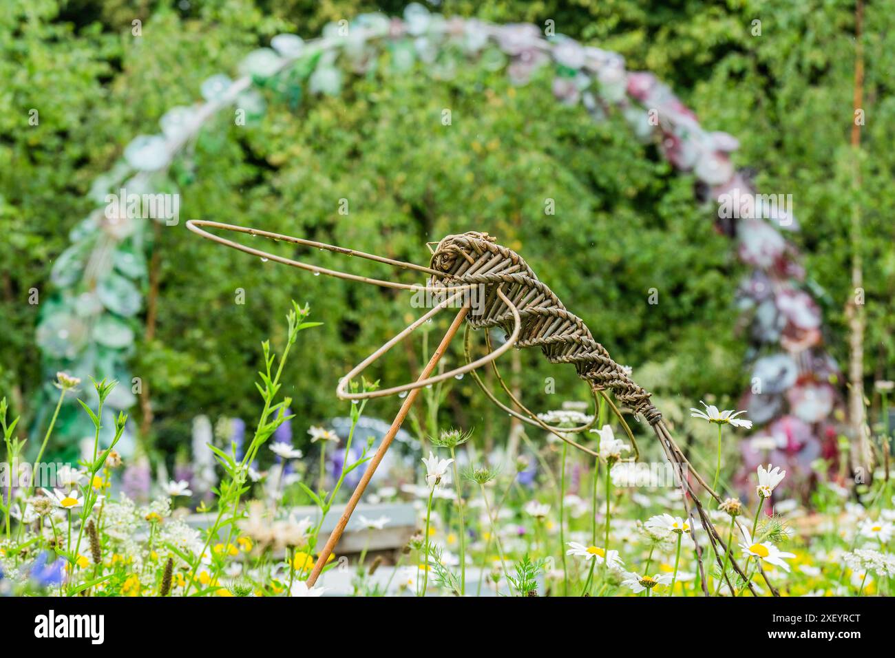 London, UK. 30th June, 2024. Final work on the RHS Britain in Bloom ...