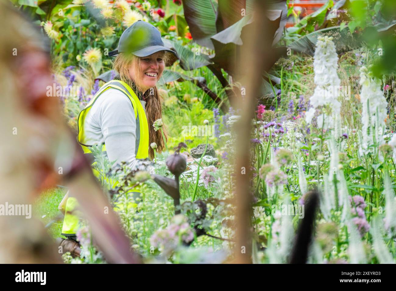 London, UK. 30th June, 2024. Final work on the RHS Britain in Bloom ...