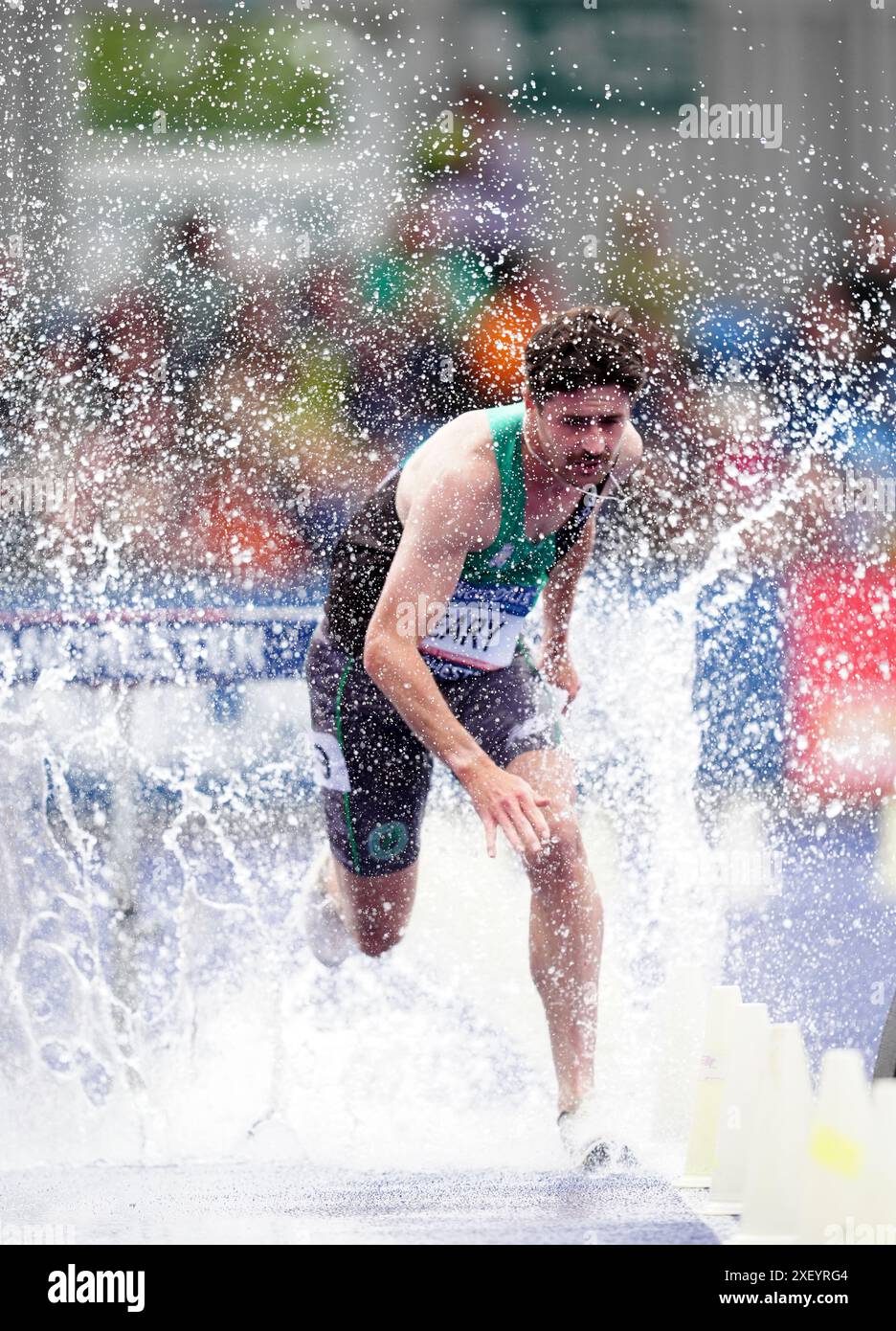 Declan Neary in the Mens 3000m Steeplechase during day two of the ...