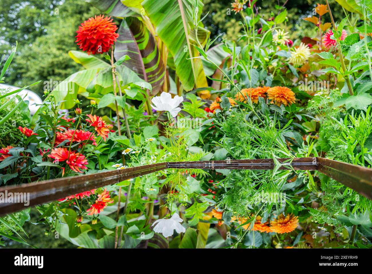 London, UK. 30th June, 2024. Final work on the RHS Britain in Bloom ...