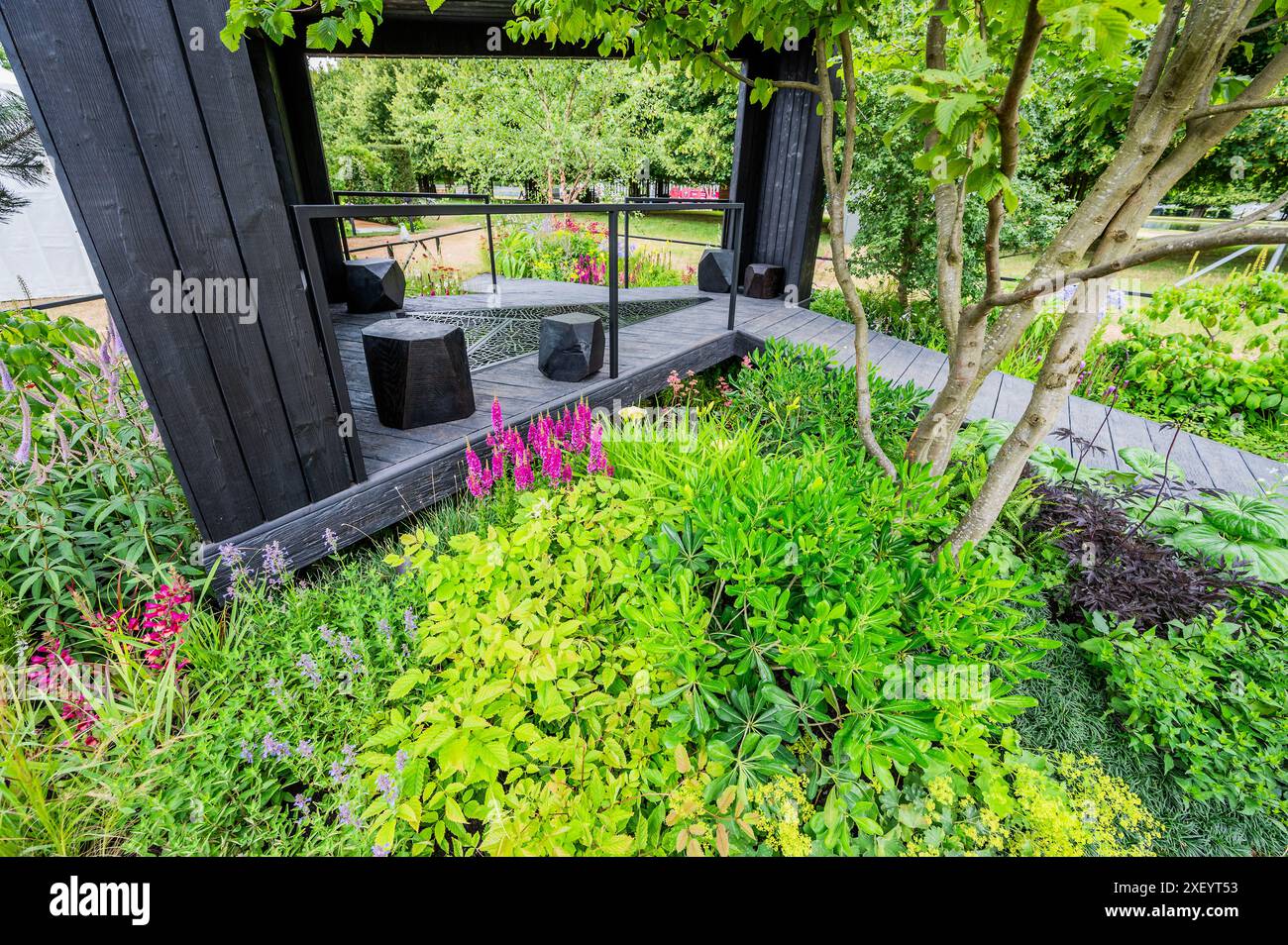 London, UK. 30th June, 2024. Exodus Adventure Travels: The Sounds of ...