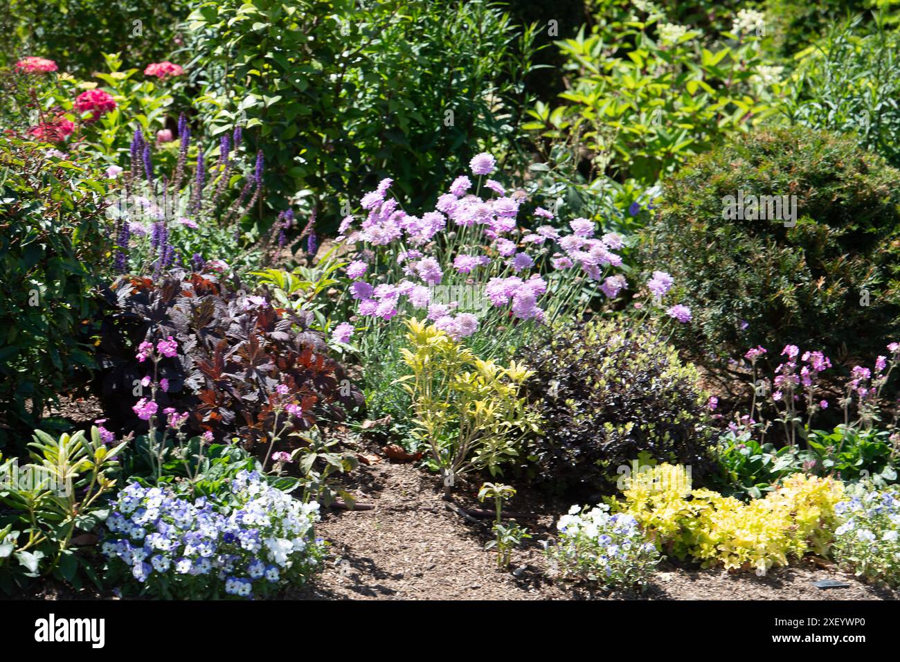 Stoke Poges, UK. 29th June, 2024. The grounds at Stoke Park, Stoke ...