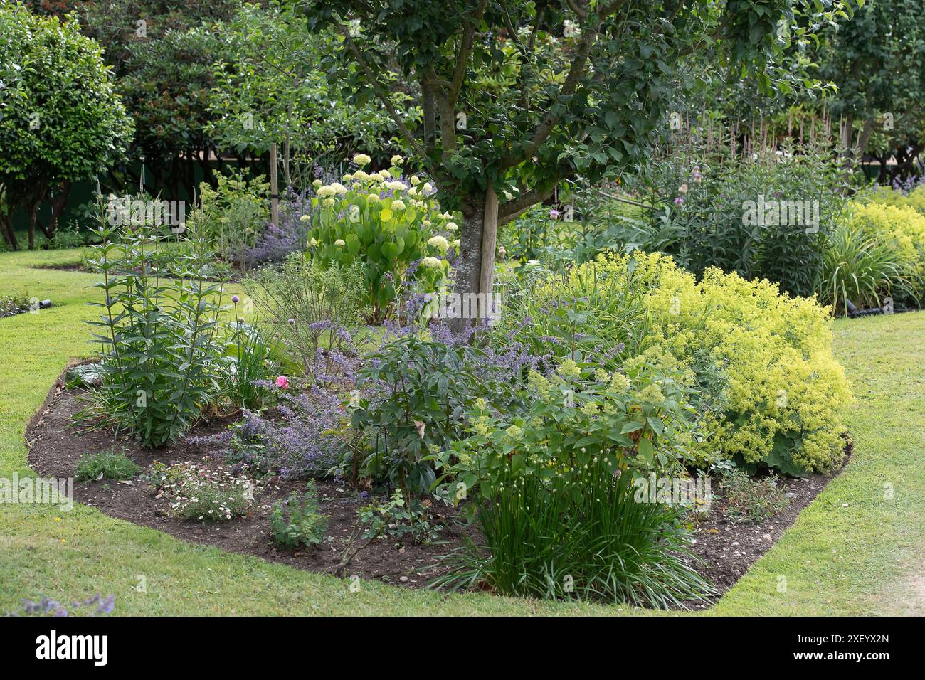 Stoke Poges, UK. 29th June, 2024. Pretty floral borders on Day Five of ...