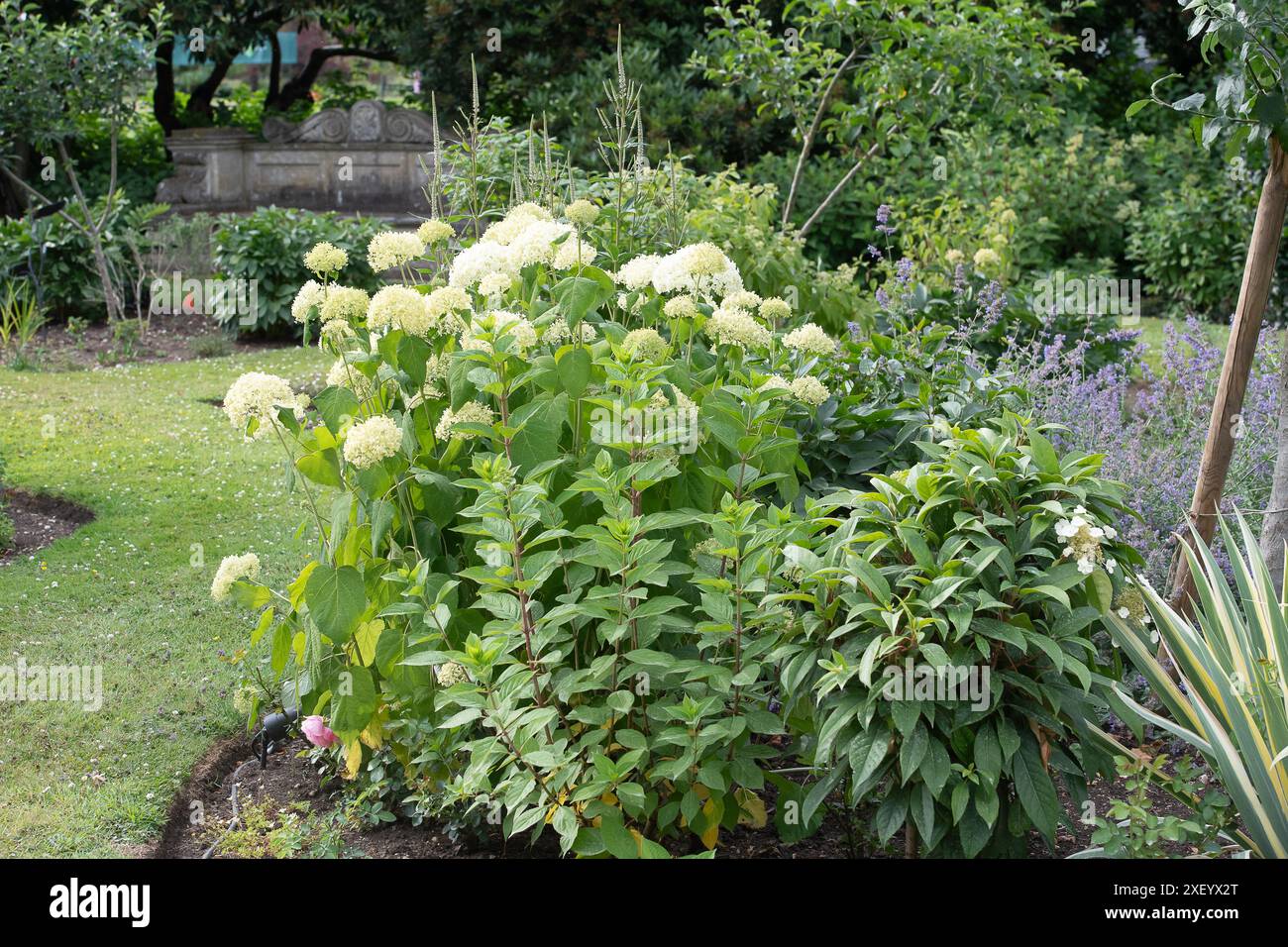 Stoke Poges, UK. 29th June, 2024. Pretty floral borders on Day Five of ...