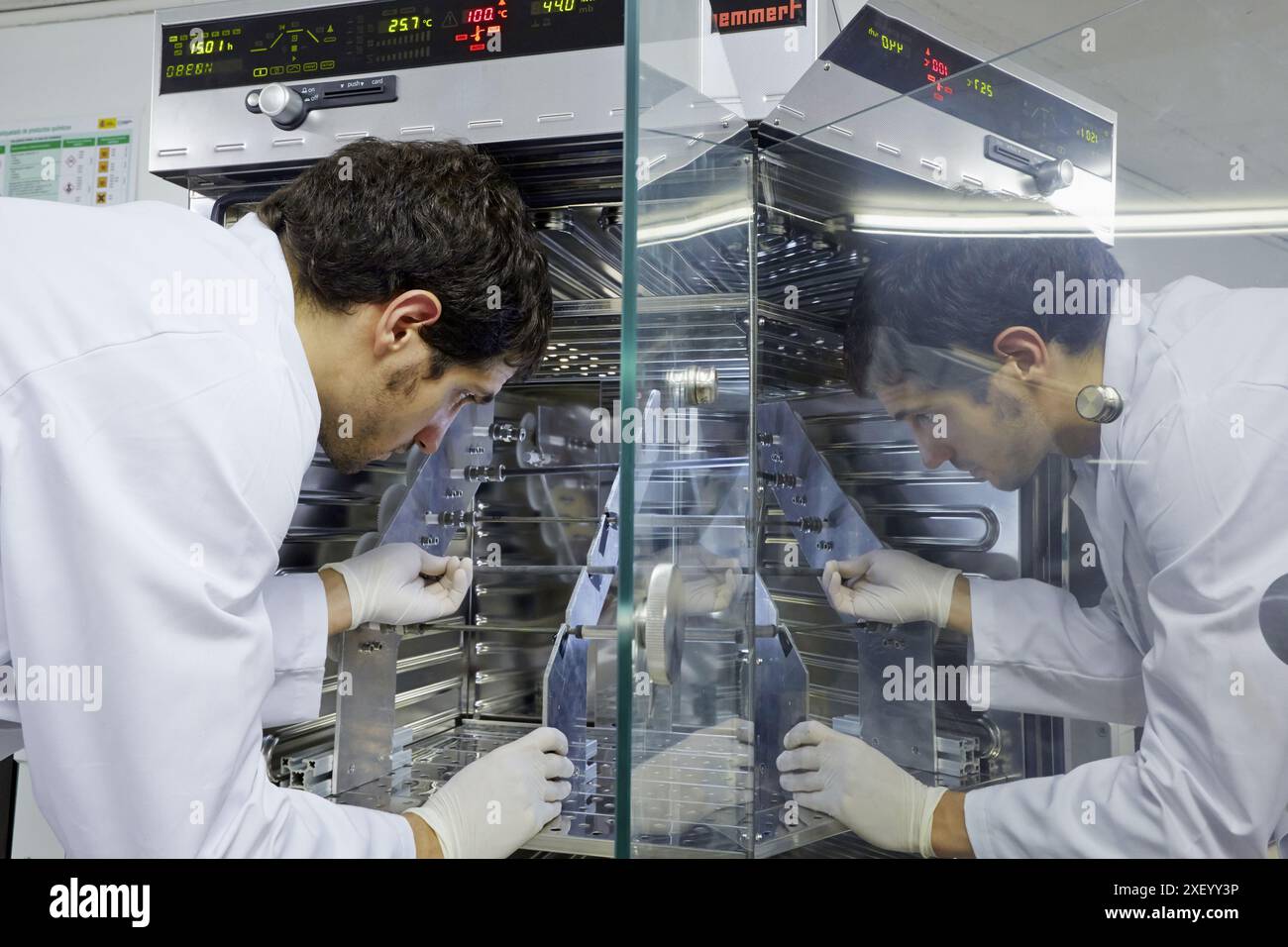 Humidity oven. Equipment for heat treatment of Membranes. Membranes ...
