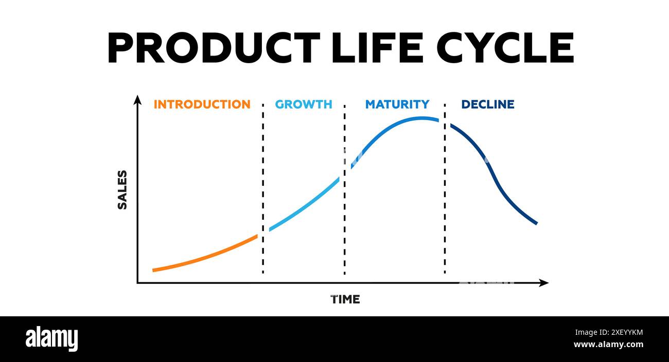 Product life cycle chart hi-res stock photography and images - Alamy