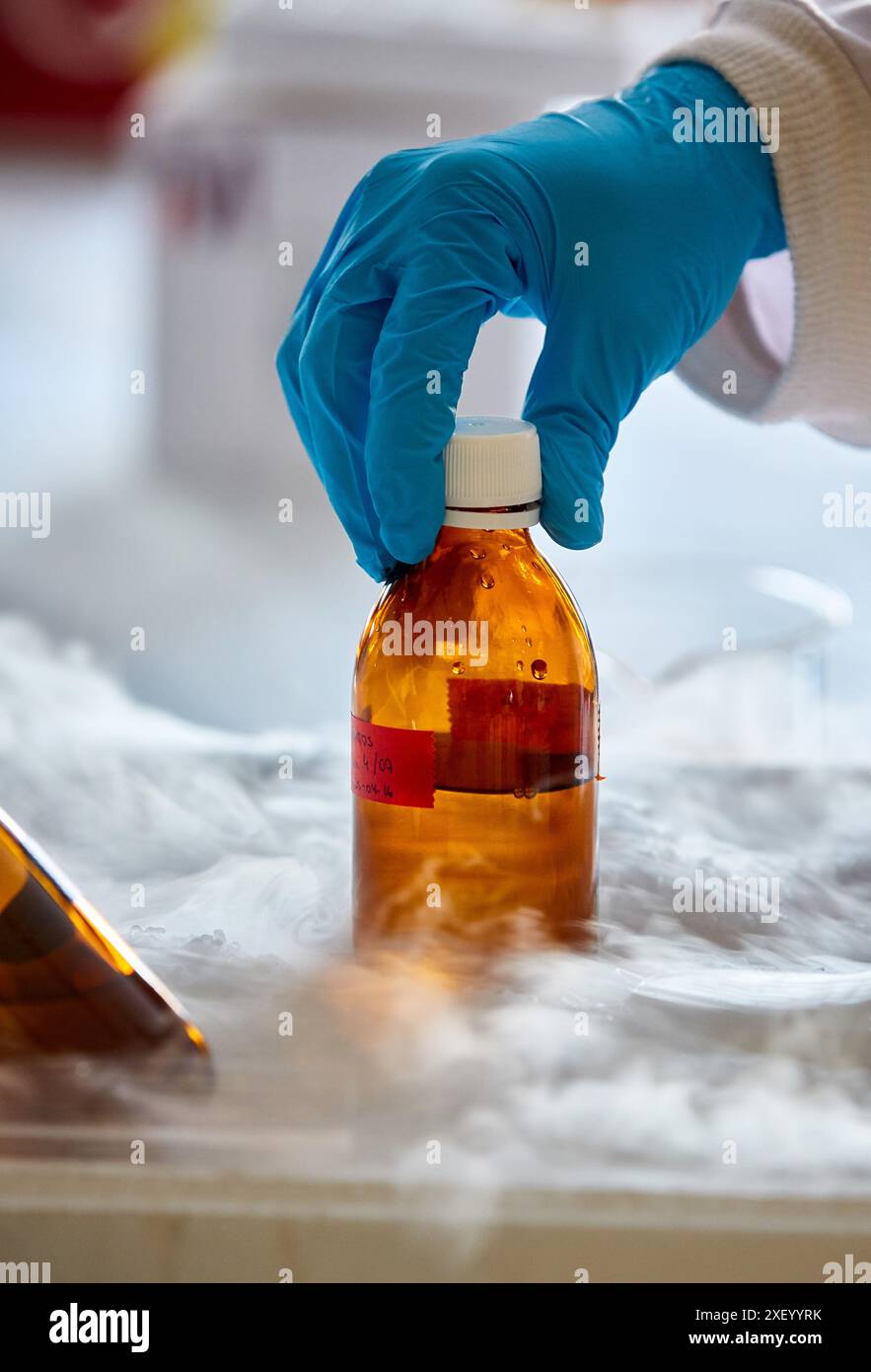 Pharmaceutical Development Laboratory. Pre-formulation, design and ...