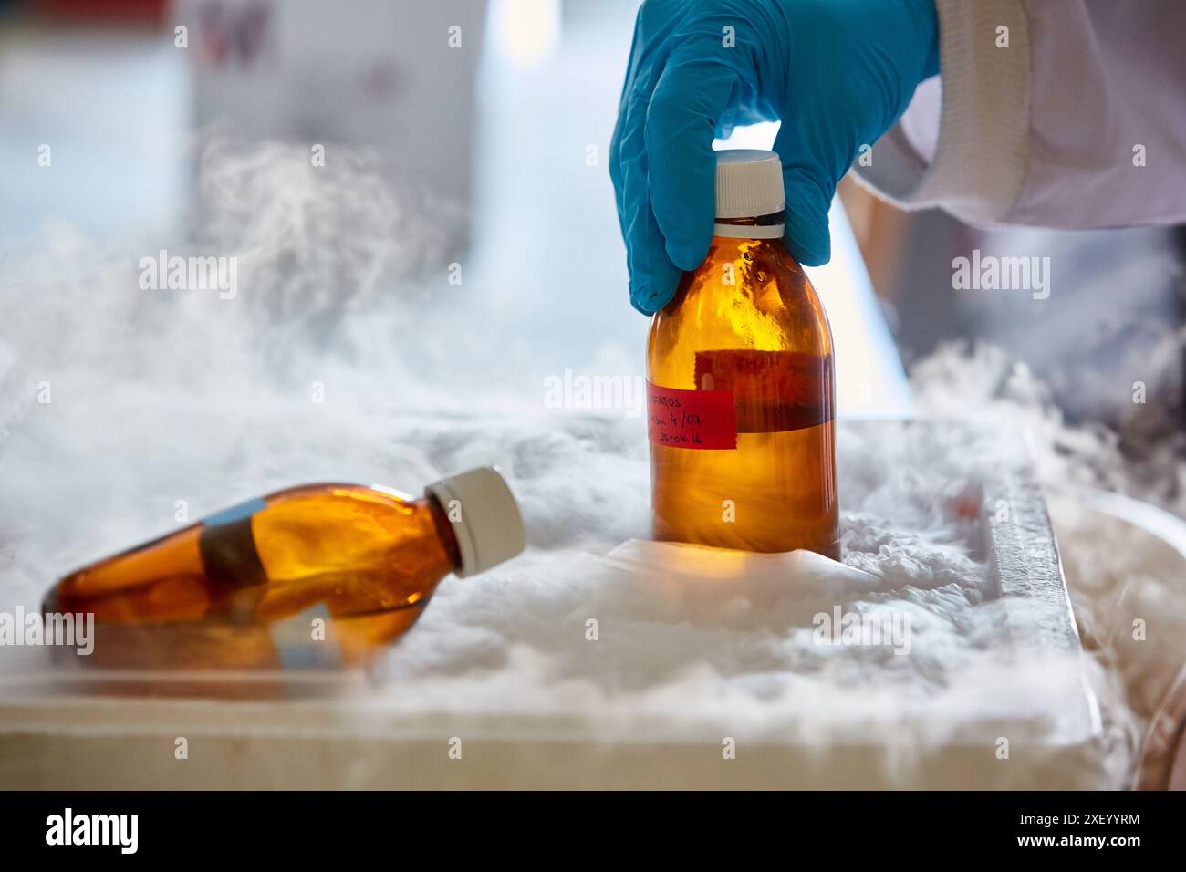 Pharmaceutical Development Laboratory. Pre-formulation, design and ...