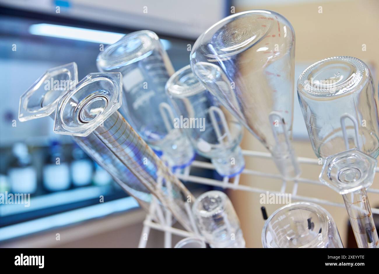 Pharmaceutical Development Laboratory. Pre-formulation, design and ...