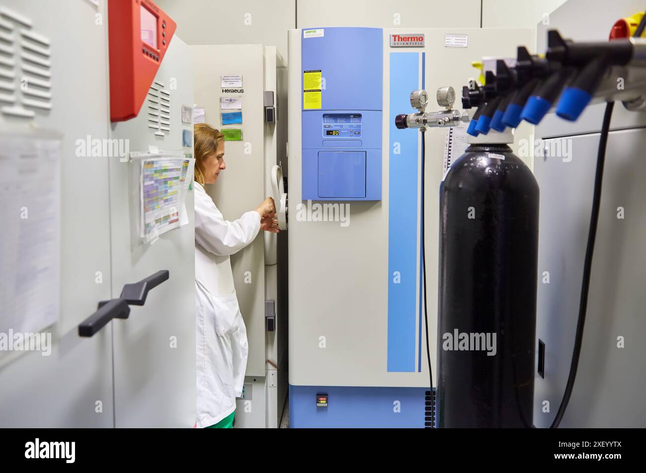 -80C Freezer chamber. Pre-formulation, design and development of drugs ...