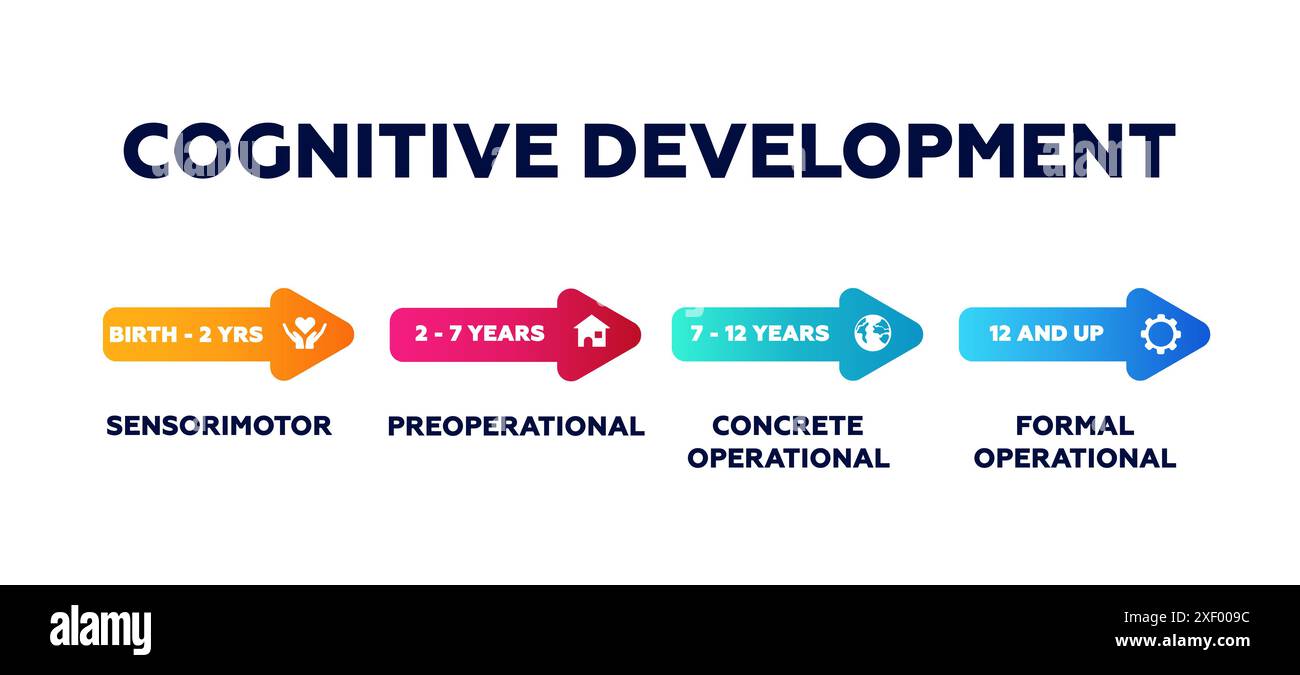 Cognitive illustration hi-res stock photography and images - Alamy