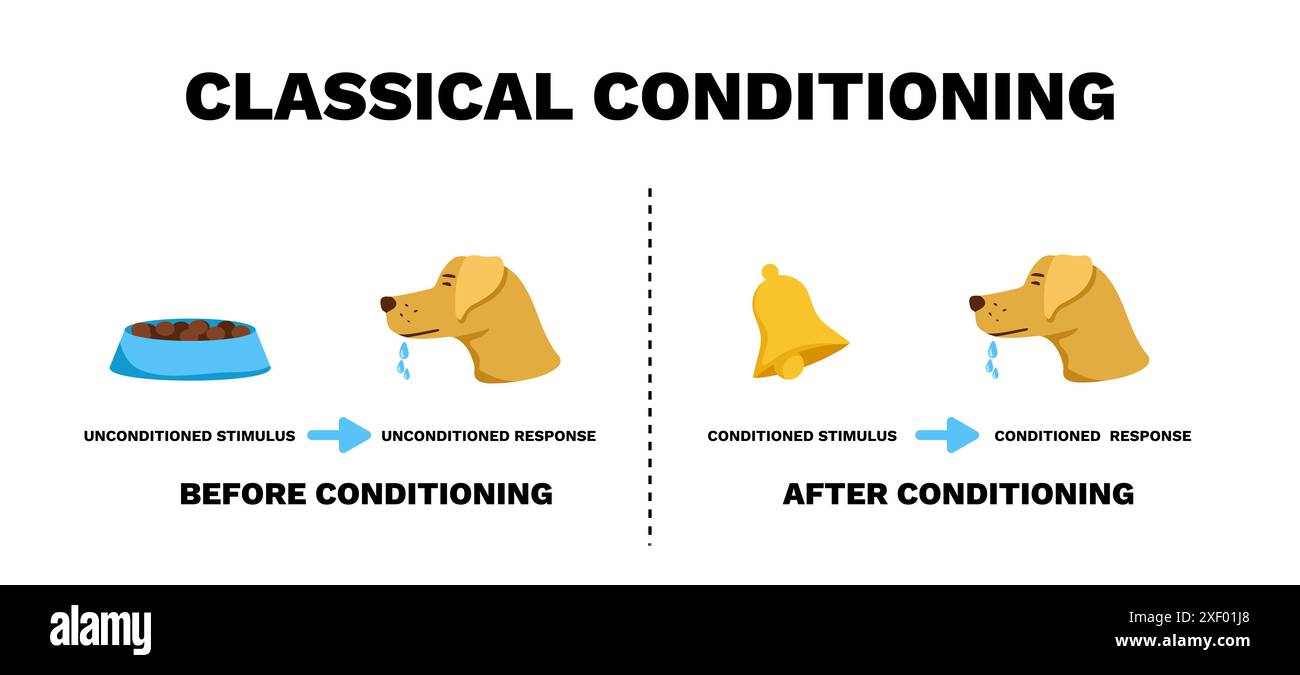 Classical conditioning. Experimental study of reflexes in dogs with ...