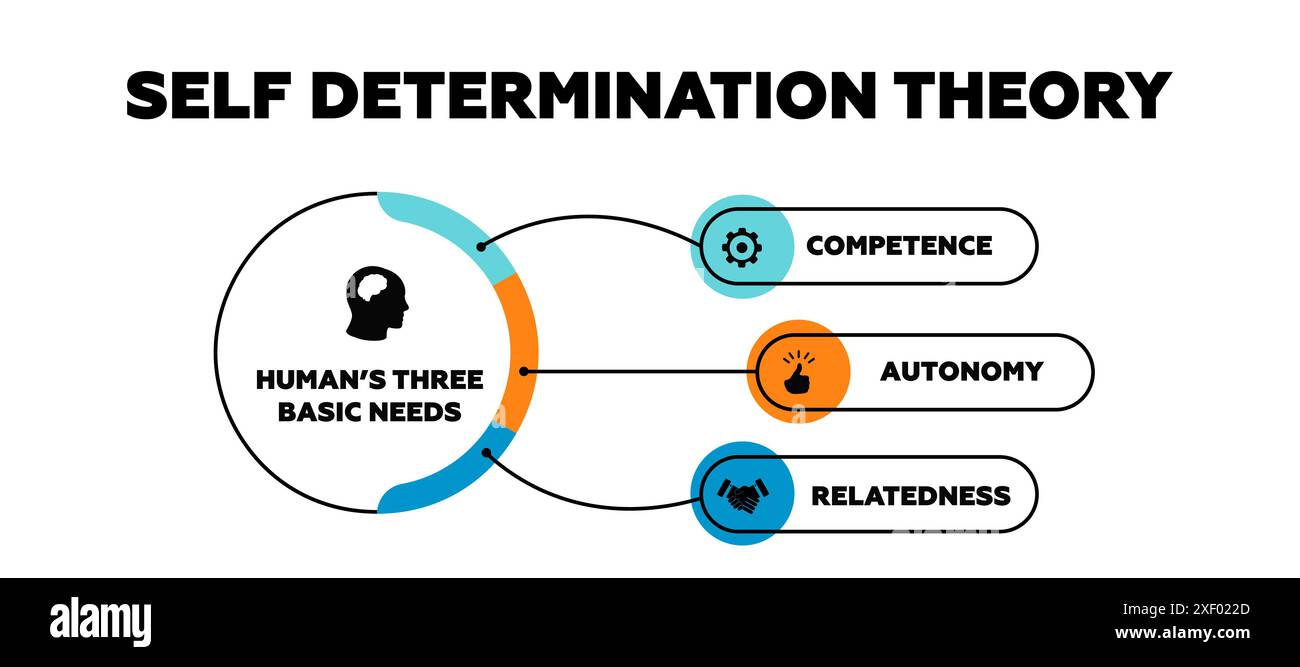 Self determination theory vector graph Stock Vector Image & Art - Alamy