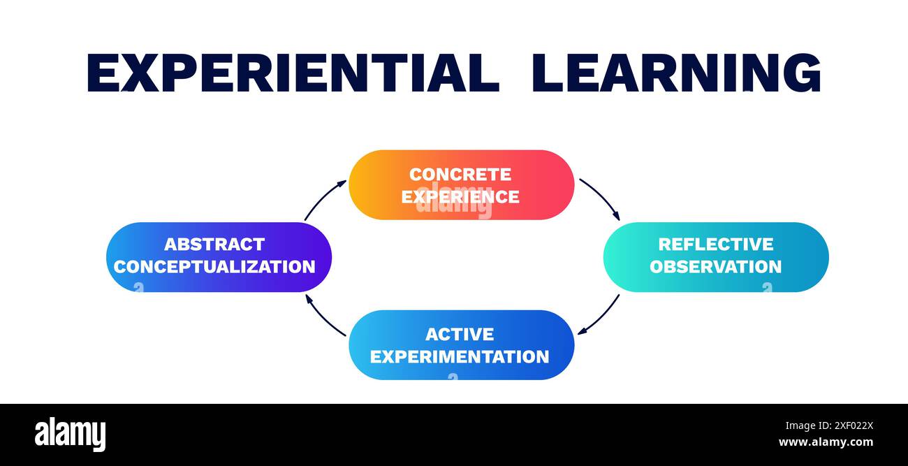 Experiential learning model diagram. Pie chart with marketing development analysis and ...