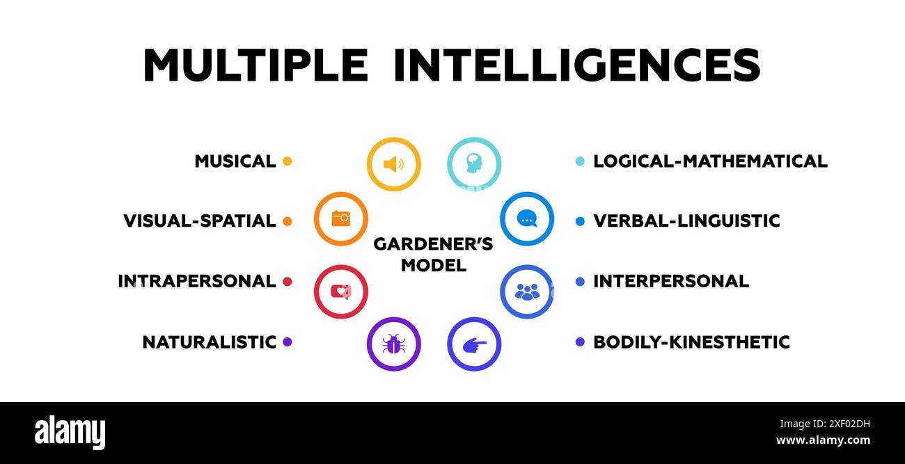 Multiple intelligence human brain Stock Vector Images - Alamy