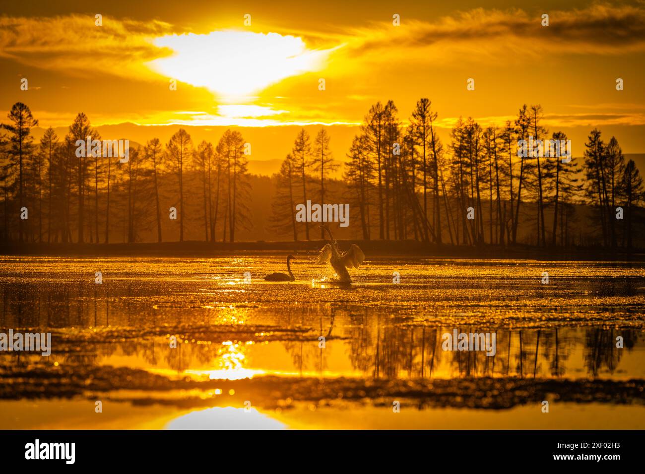 The sun colors the entire landscape around Lake Hovsgol. While two ...