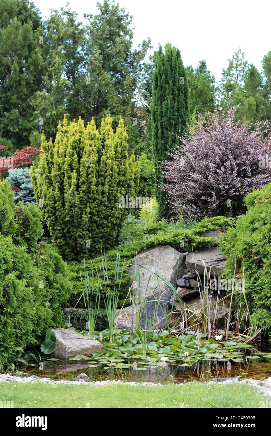 Garden design beautiful bushes hi-res stock photography and images - Alamy