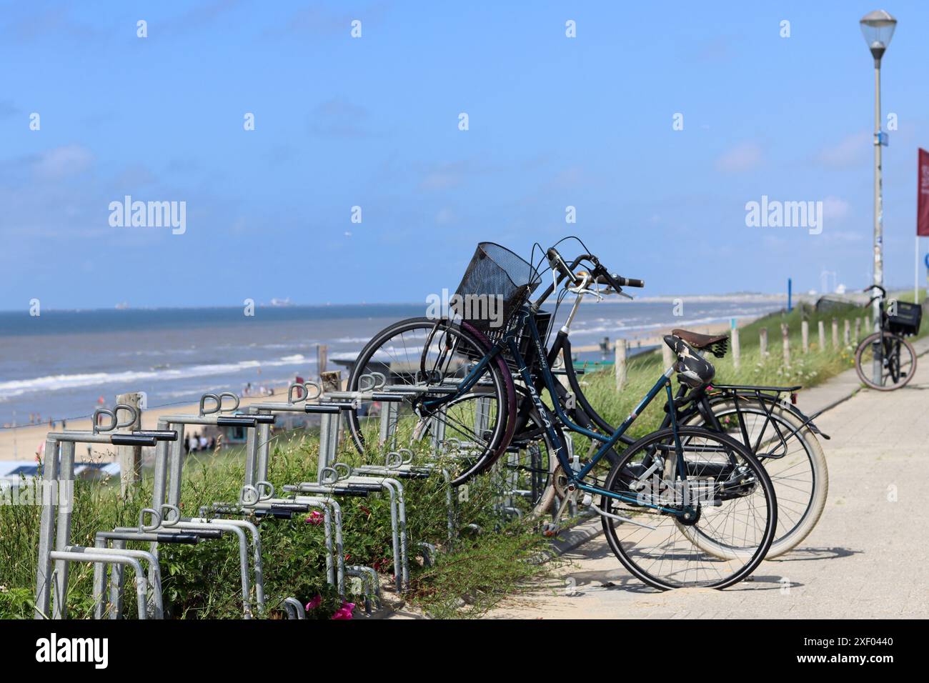 Beach on the North Sea coast in the Netherlands in the summer Stock ...