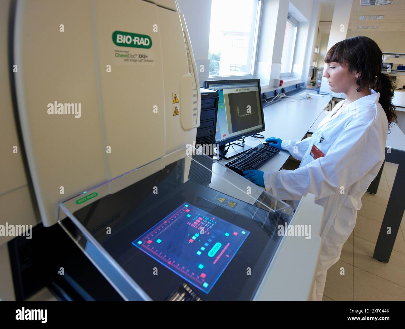 BIO RAD, Gel and membrane Image analysis system by detection of ...