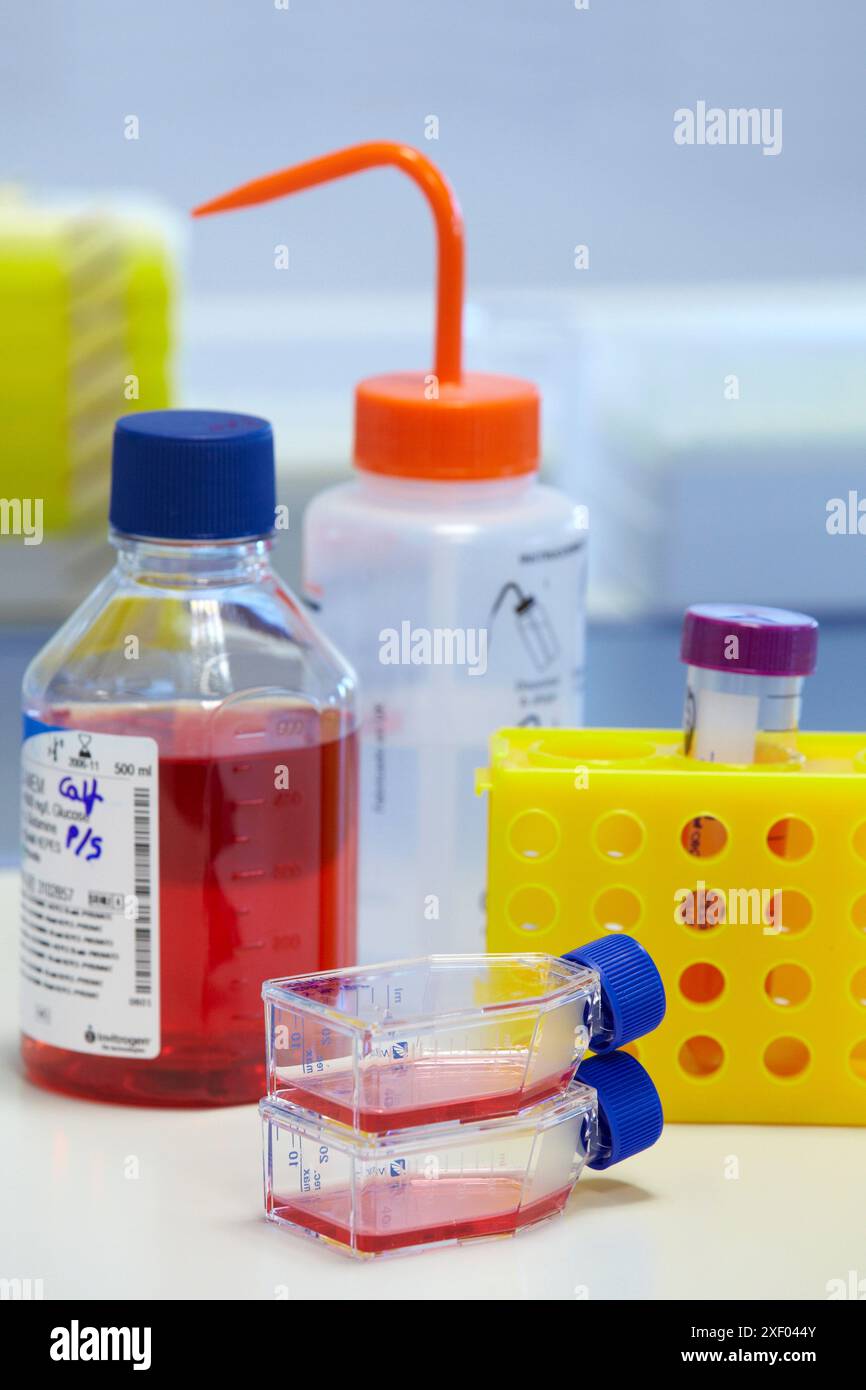 Laboratory reagents, Biotechnology Laboratory, Health Area, Alava ...