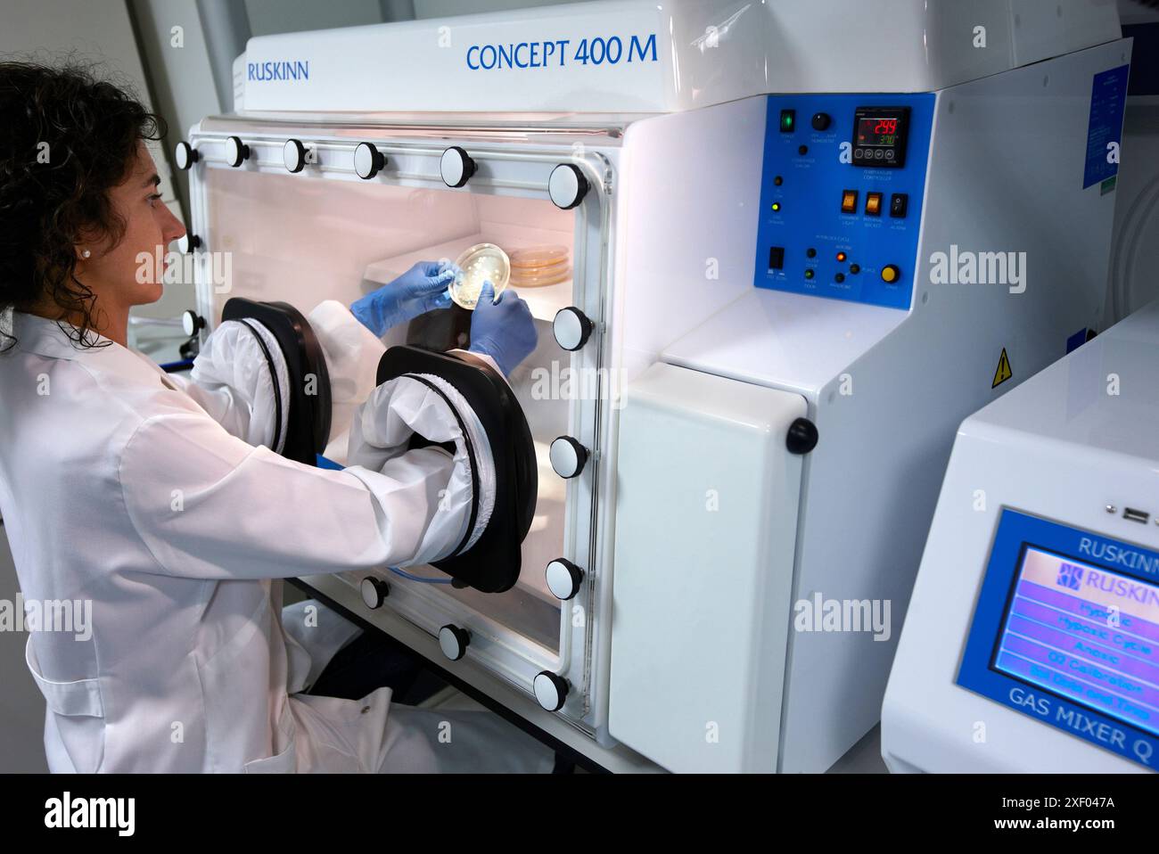 Atmosphere-controlled booth Cleanroom Microbiology Anaerobic ...