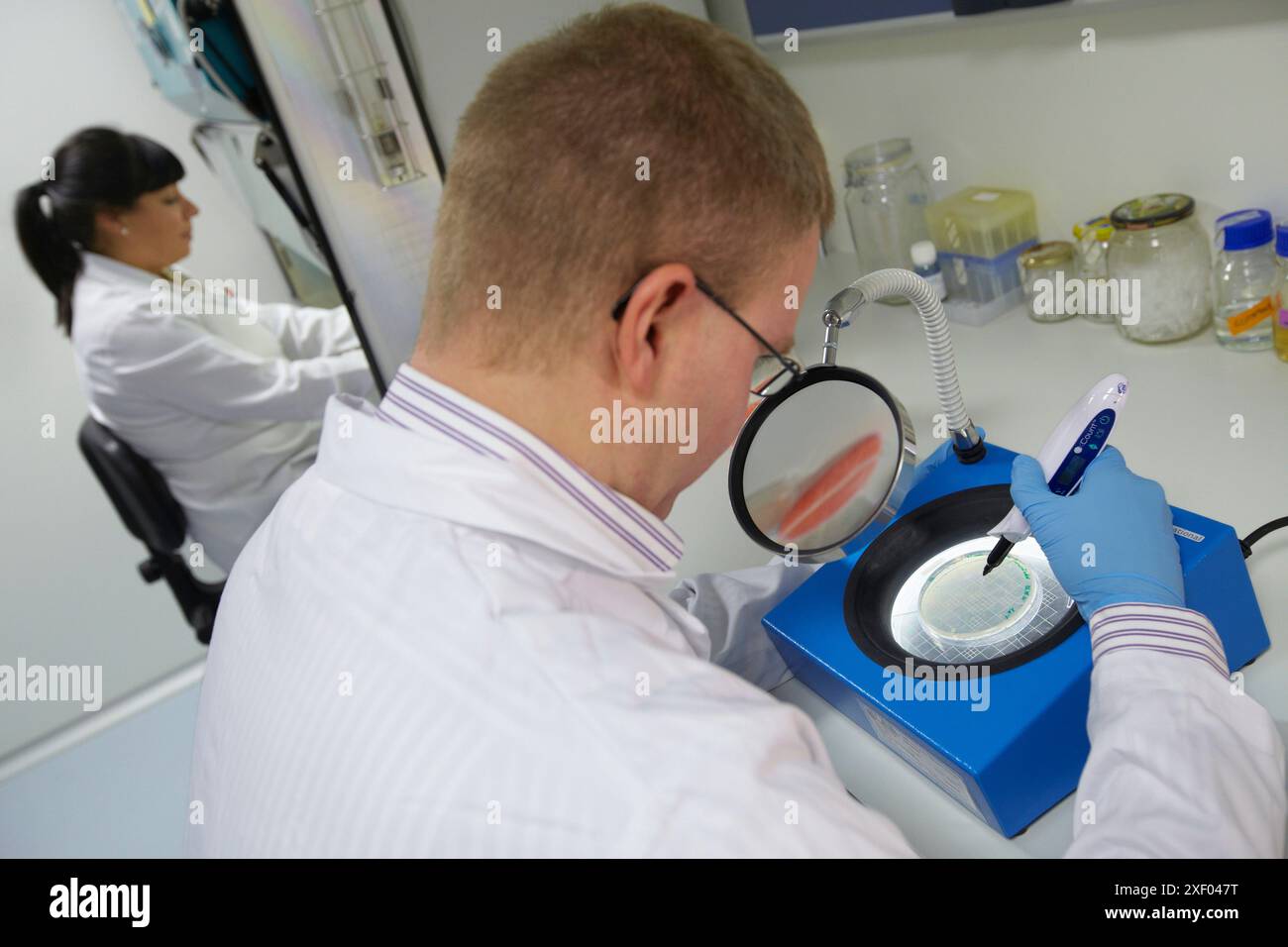 Laboratory counter with culture hi-res stock photography and images - Alamy