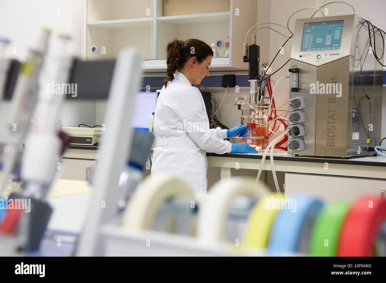 Researcher taking a sample of carotenoid-producing yeast obtained by ... Researcher taking a sample of carotenoid-producing yeast obtained by ...