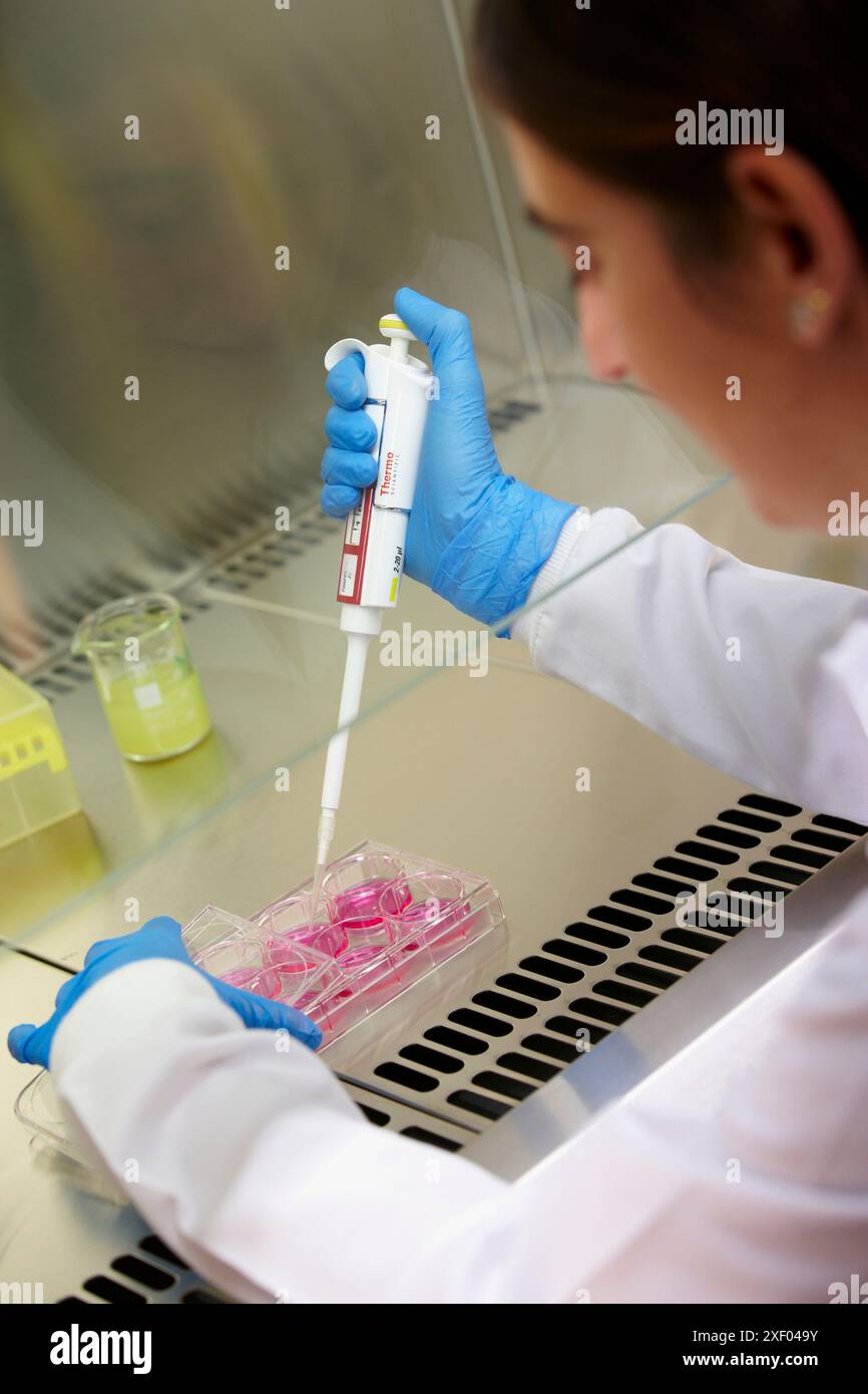 Growth cell line, study of the growth curve of cell line in 6-well ...