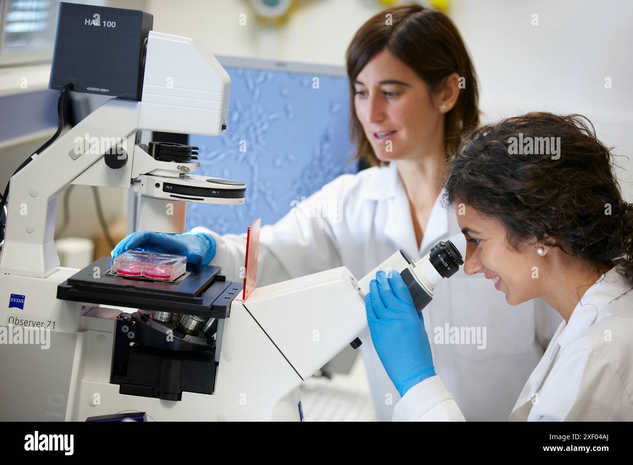 Inverted optical microscope Laboratory instrumentation Analysis in the ...