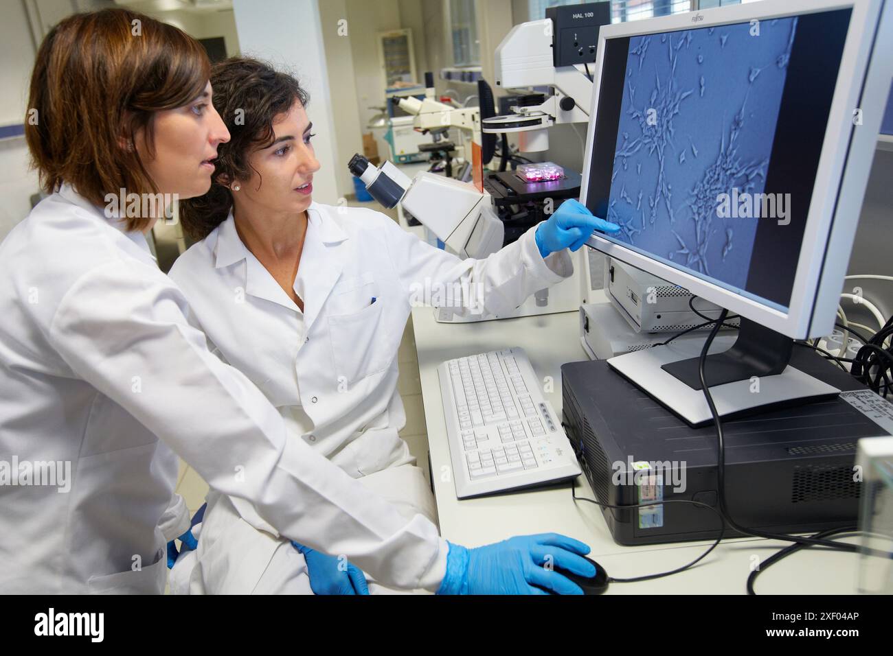 Inverted optical microscope Laboratory instrumentation Photographic ...