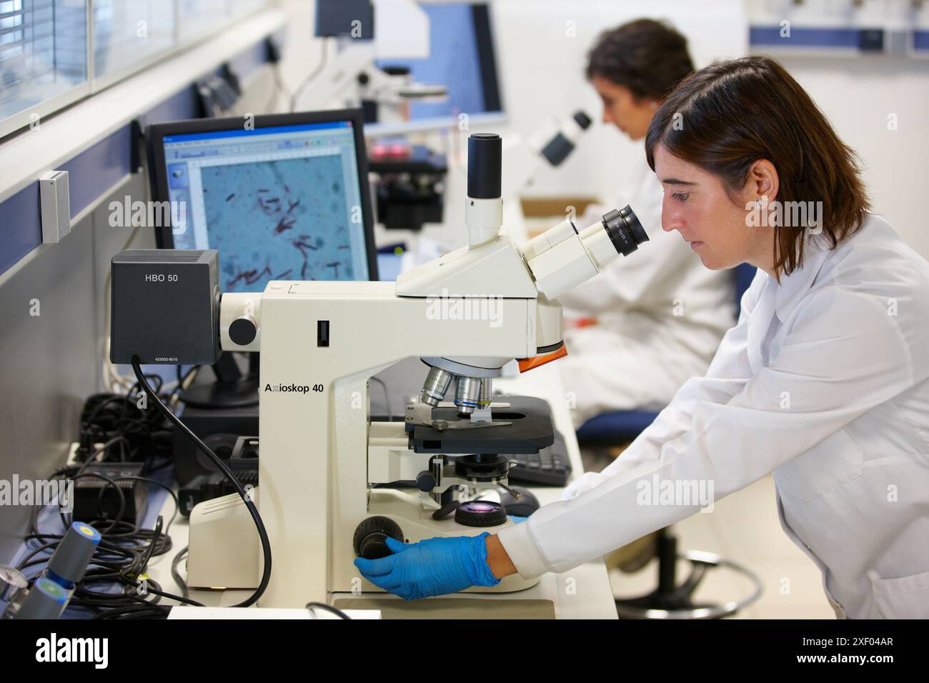 Inverted optical microscope Laboratory instrumentation Analysis in the ...