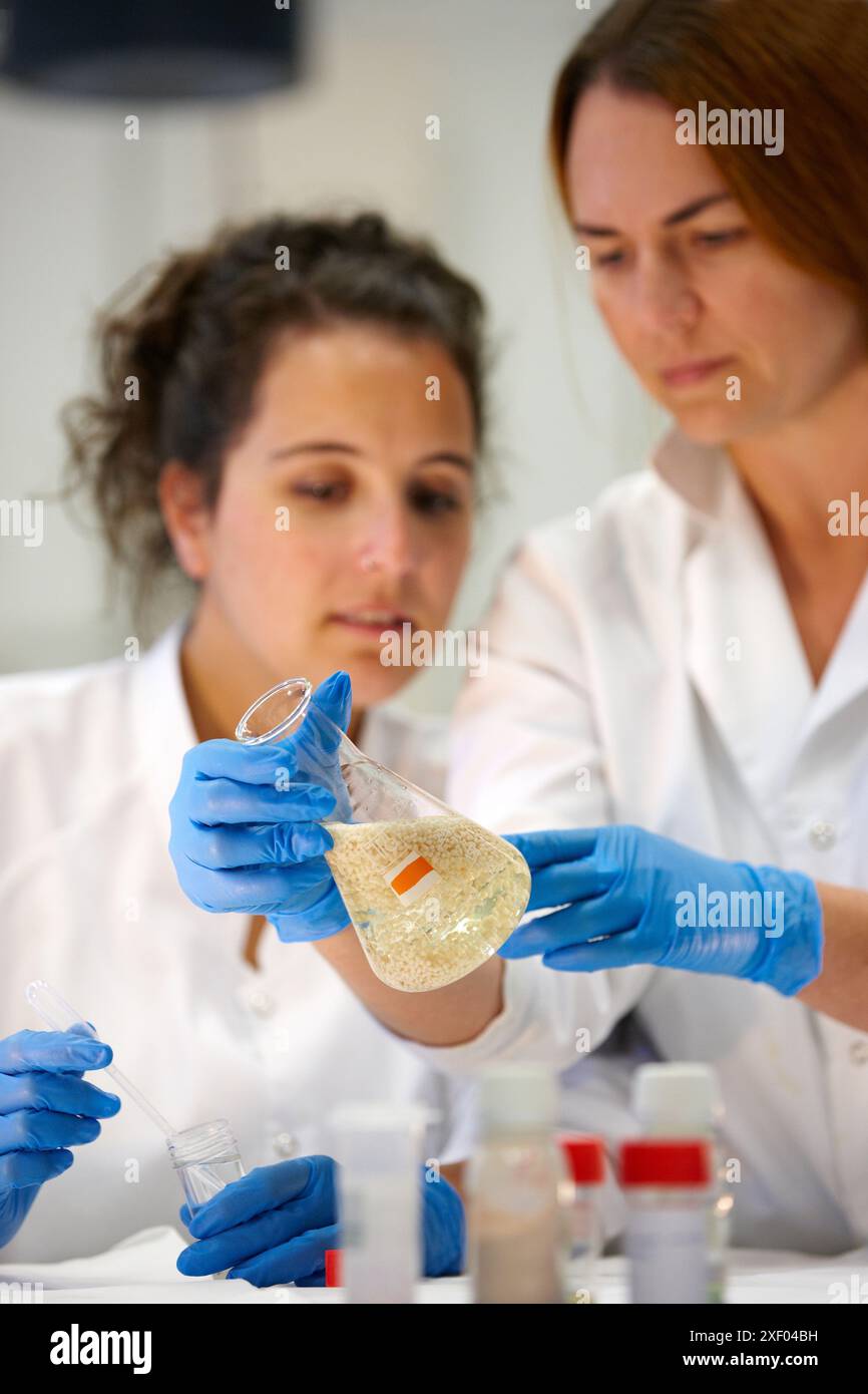 Transformation of grape juice into wine is a complex process requiring ...