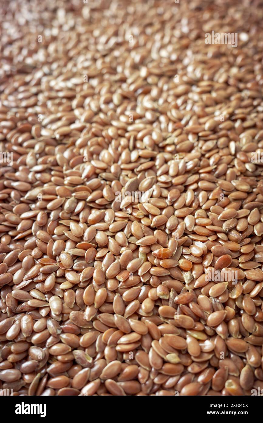 Close up photo of seeds hi-res stock photography and images - Alamy