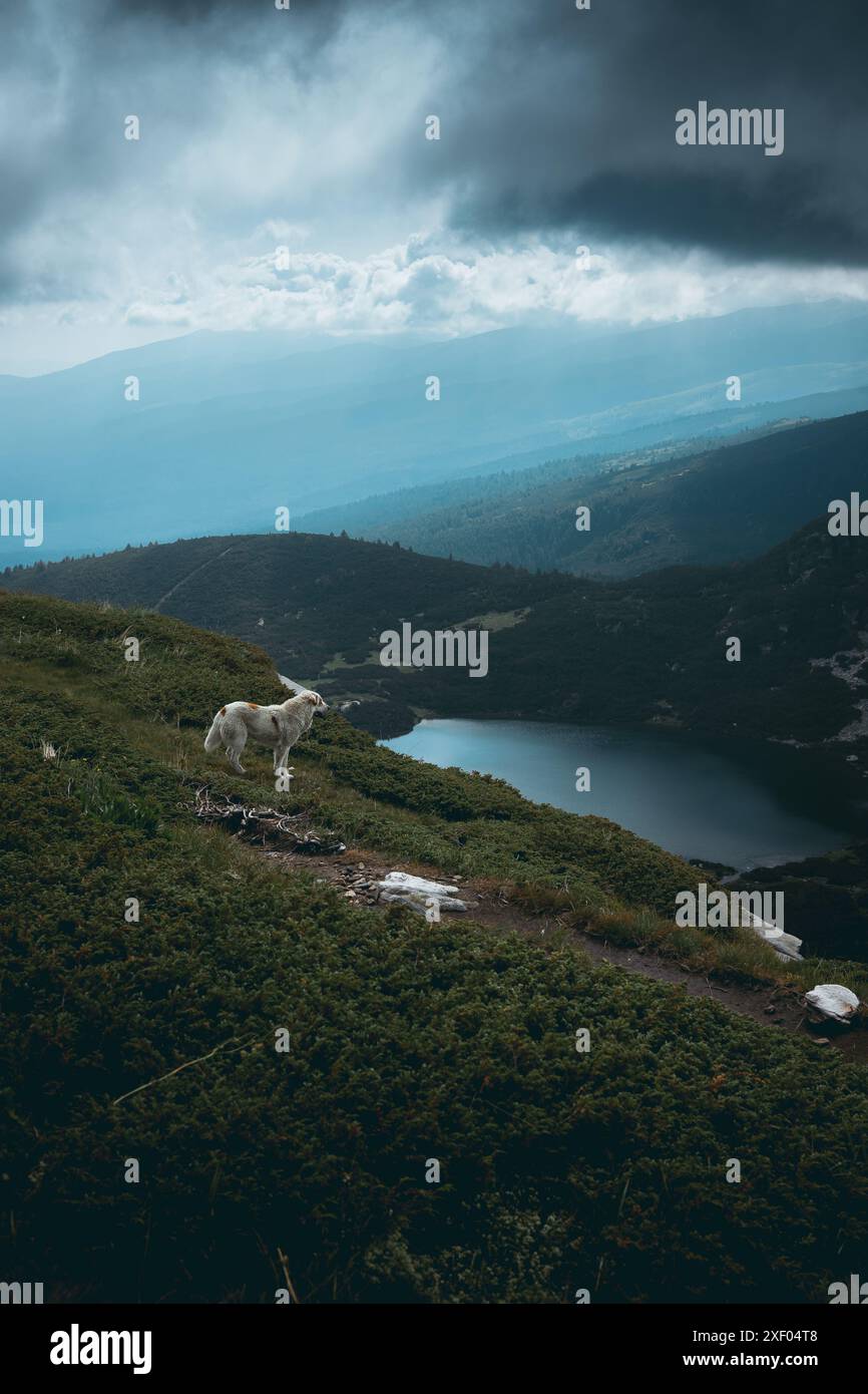 First lake of the 7 lakes in Rila Mountain seen from above with ...
