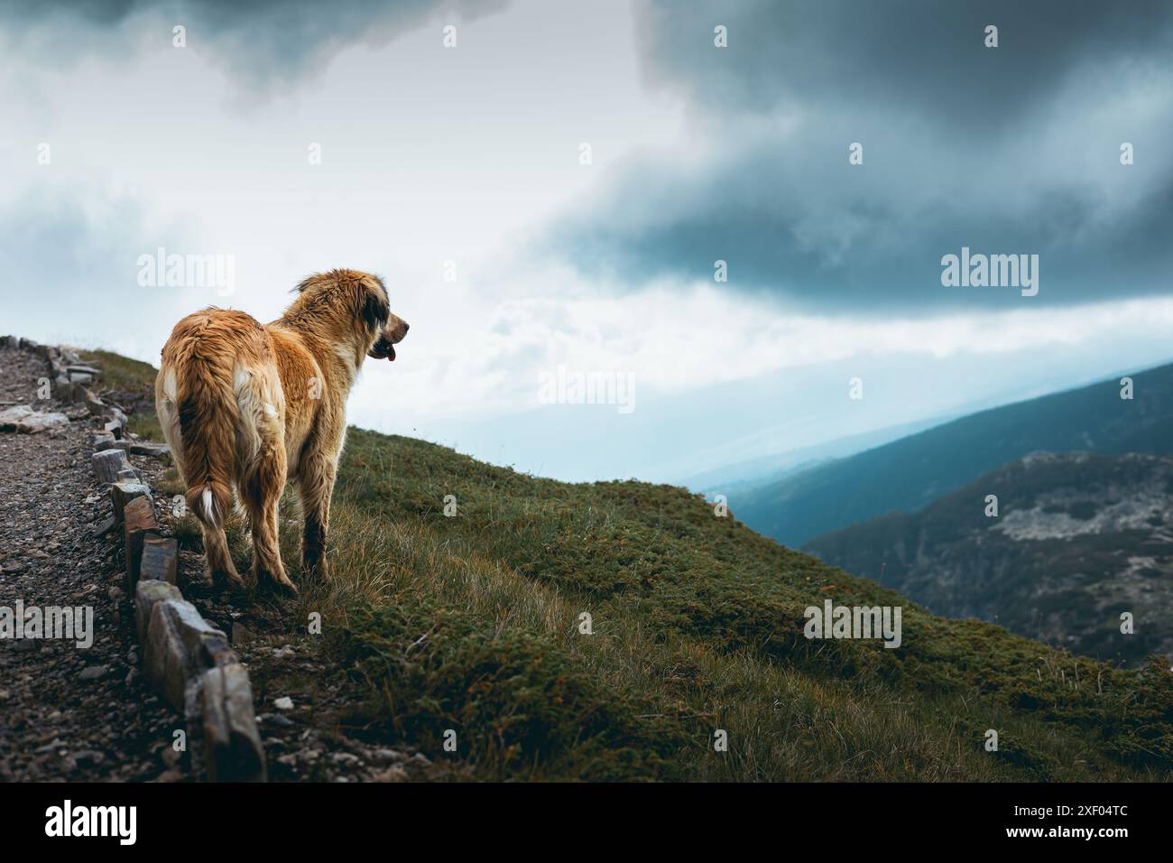 Beautiful landscape view from top of a mountain with beautiful furry ...
