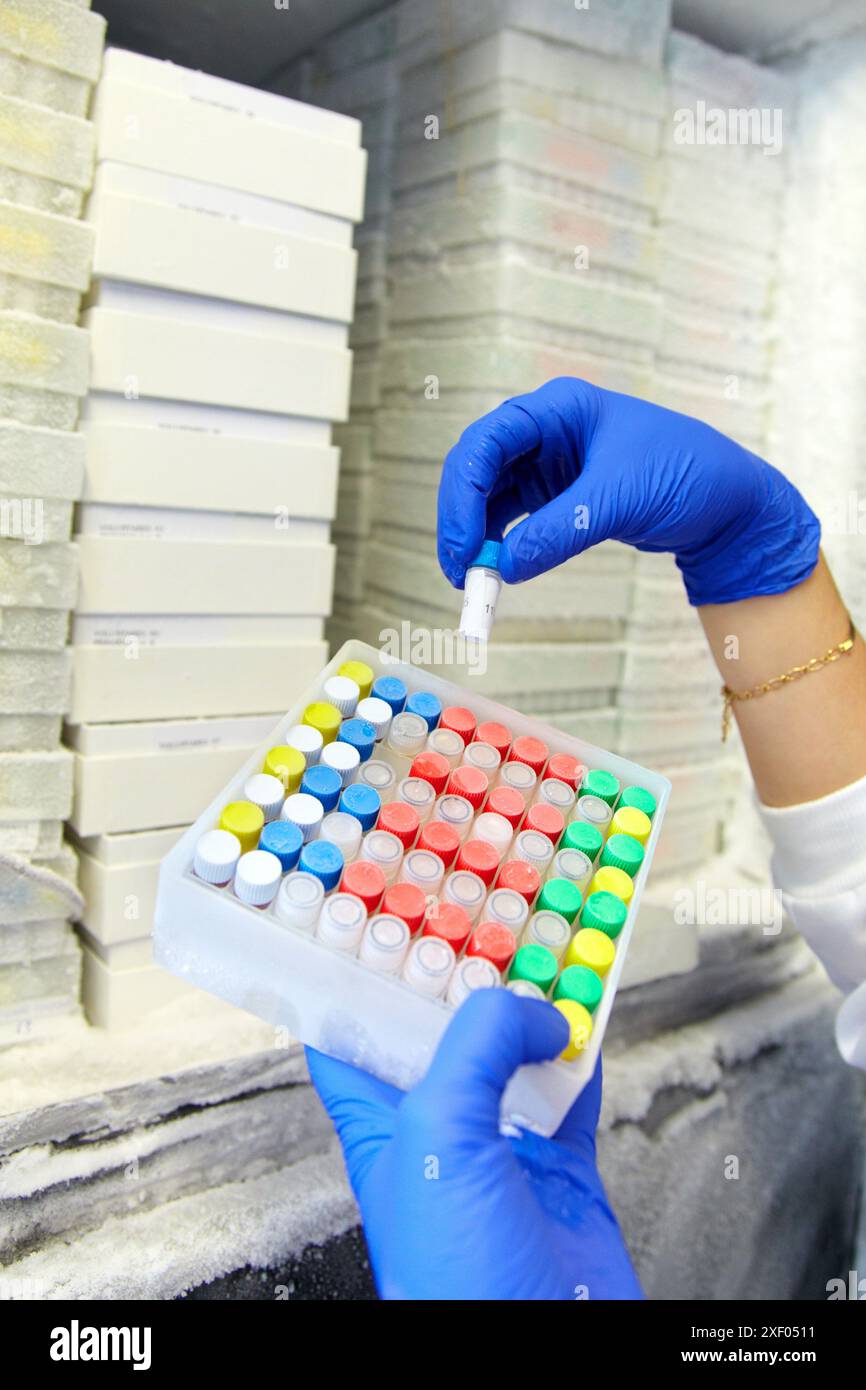 Doctors hands holding sample hi-res stock photography and images - Alamy