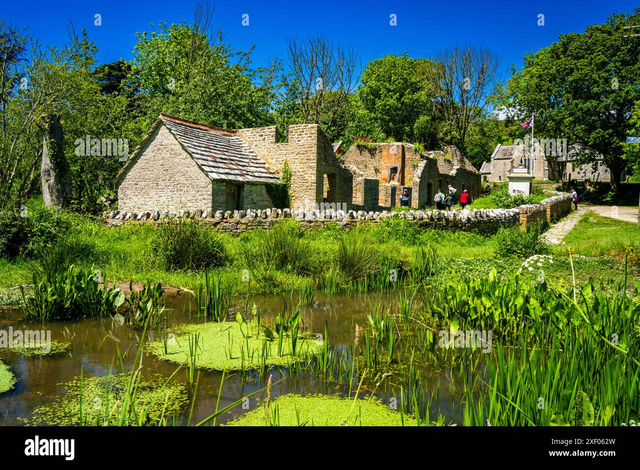 The village pond in Tyneham Village with the abandoned old cottages ...