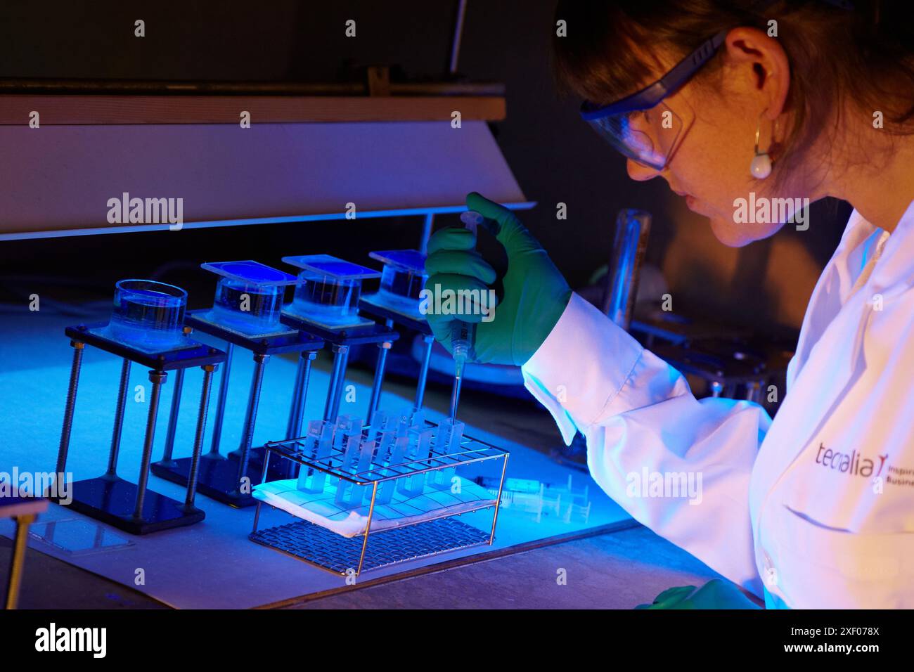 Methylene blue test, Photocatalytic activity assay, samples of coating ...