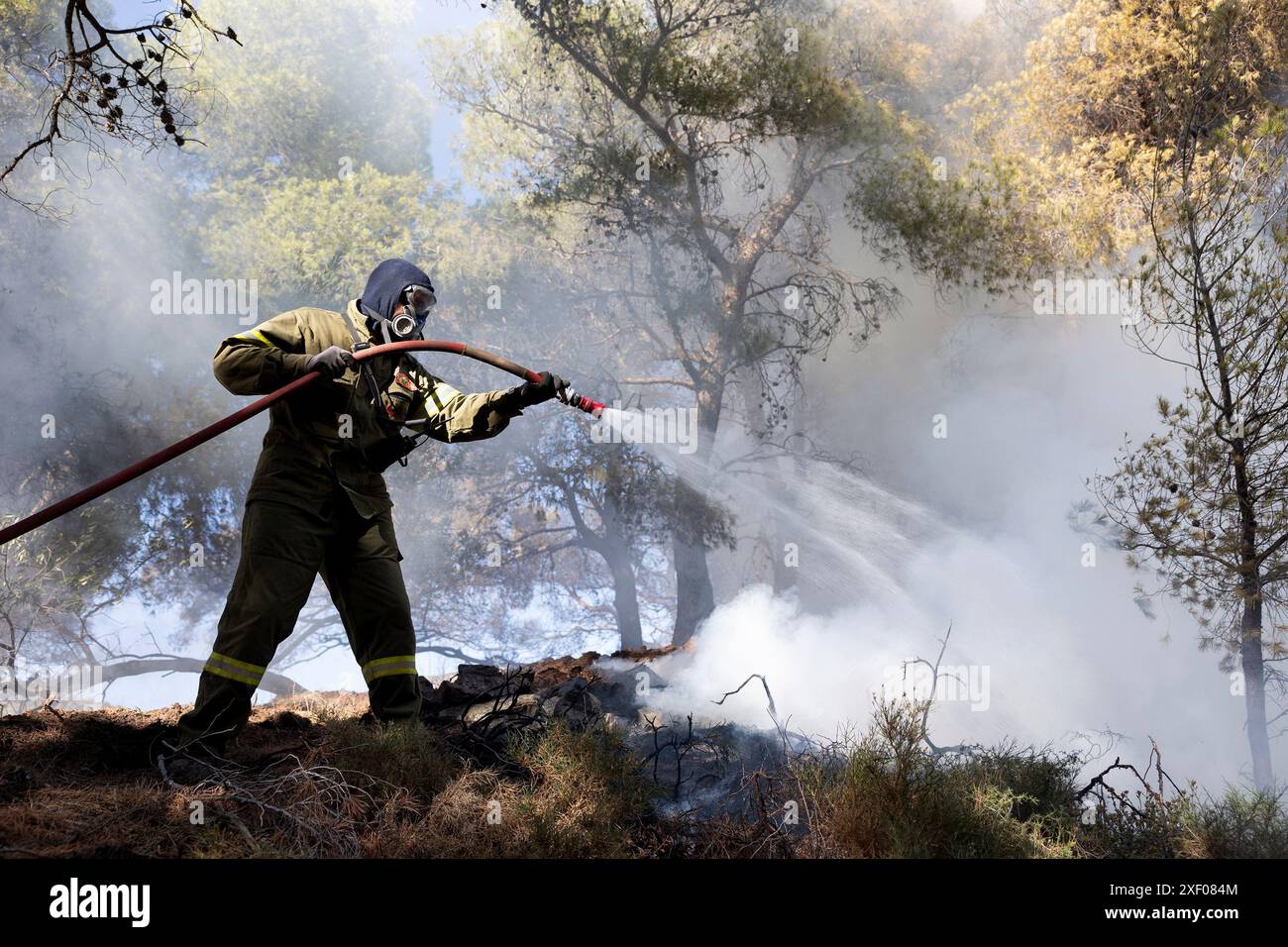 A firefighter struggles to extinguish a forest fire in the Keratea area, southeast of Athens ...