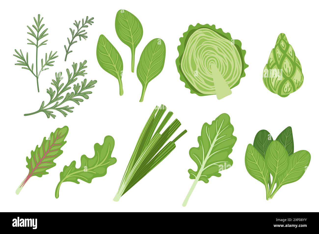 Set of different types of green edible plants leaves. Fresh tasty ...