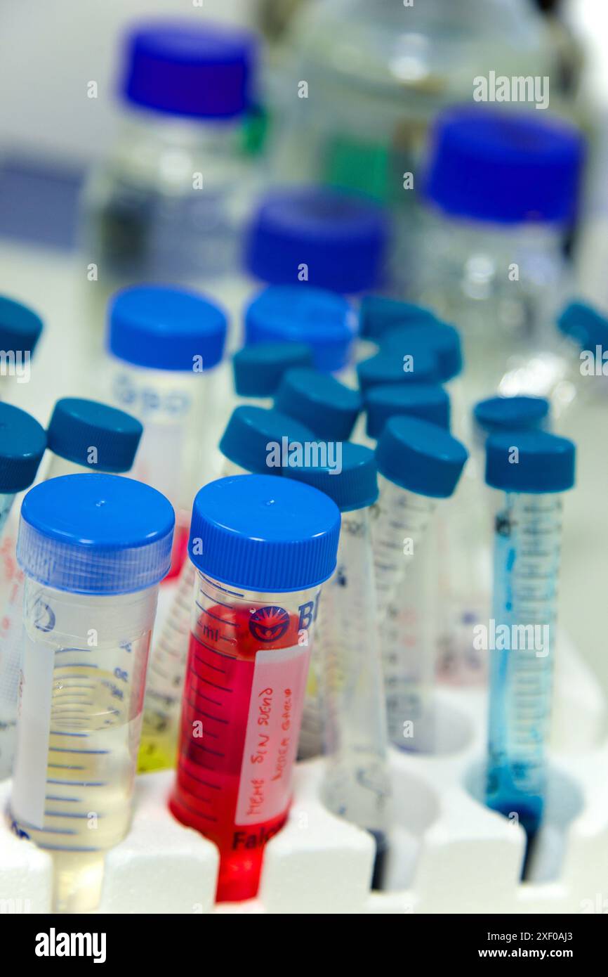 Samples, Cell Culture Laboratory, Unit of Health Technology, Tecnalia ...