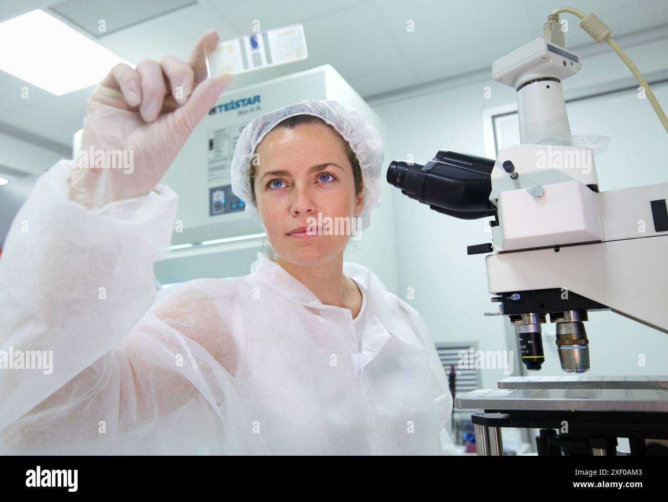 Knowing the viability of mammalian cells though Trypan blue vital stain ...