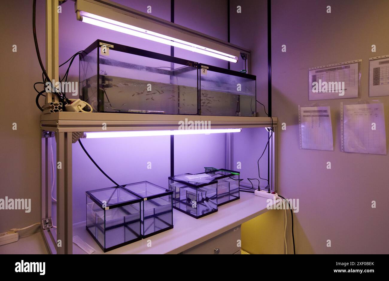 Biology lab aquarium hi-res stock photography and images - Alamy