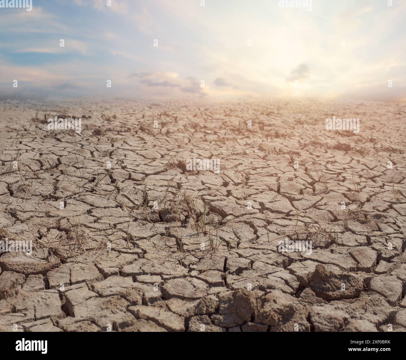Cracked brown soil, barren wasteland surface natural background Stock ...