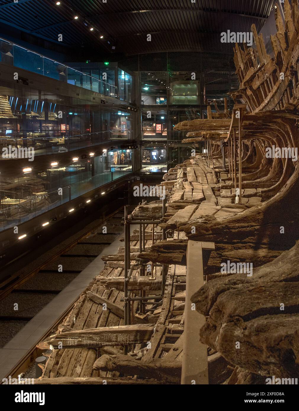 The main decking the hull of the Mary Rose looking froward from the ...