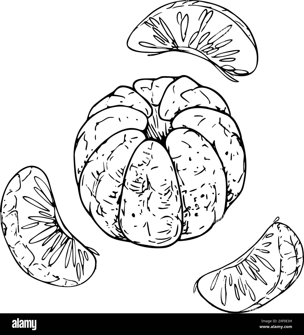 Tangerine mandarin peeled clementine Black and White Stock Photos ...