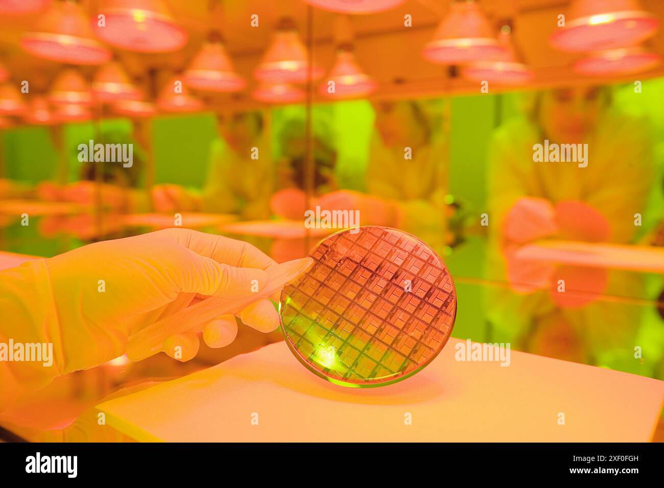Silicon wafer in clean room hi-res stock photography and images - Alamy