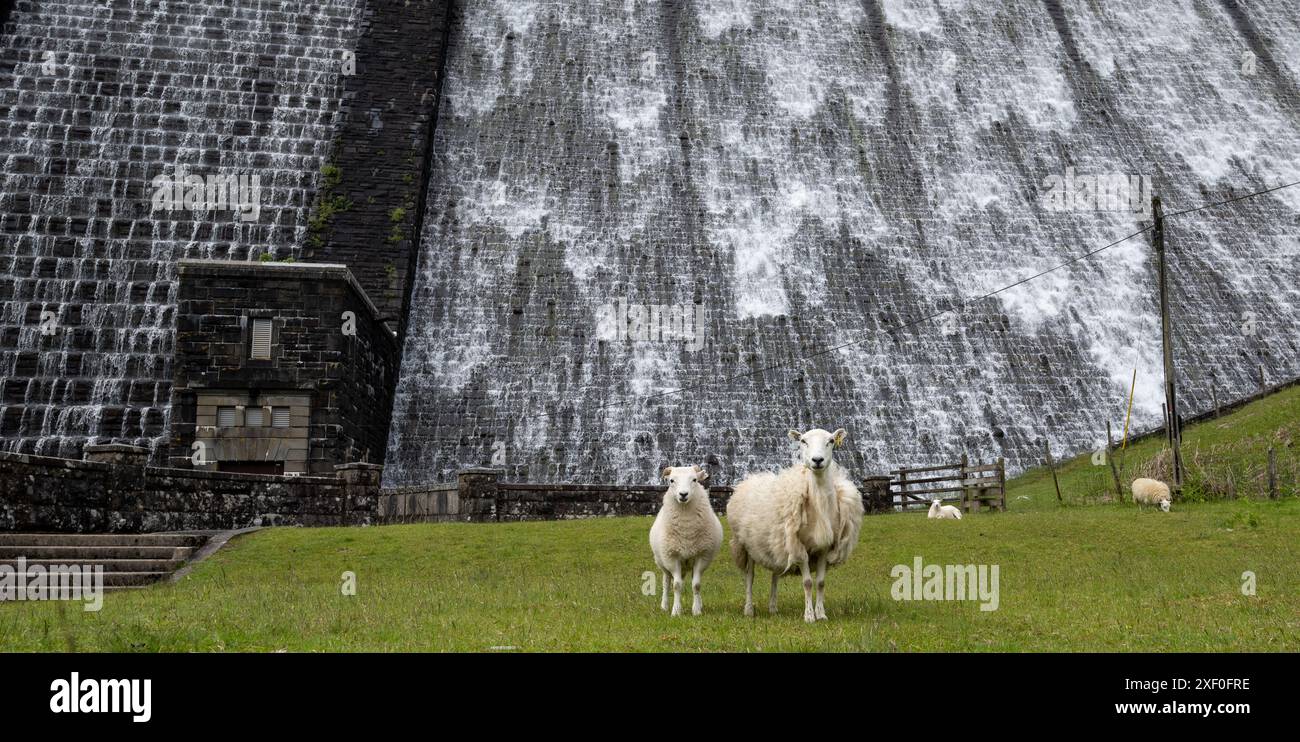 Claerwen Dam in the Elan Valley, with water flowing over the top and ...